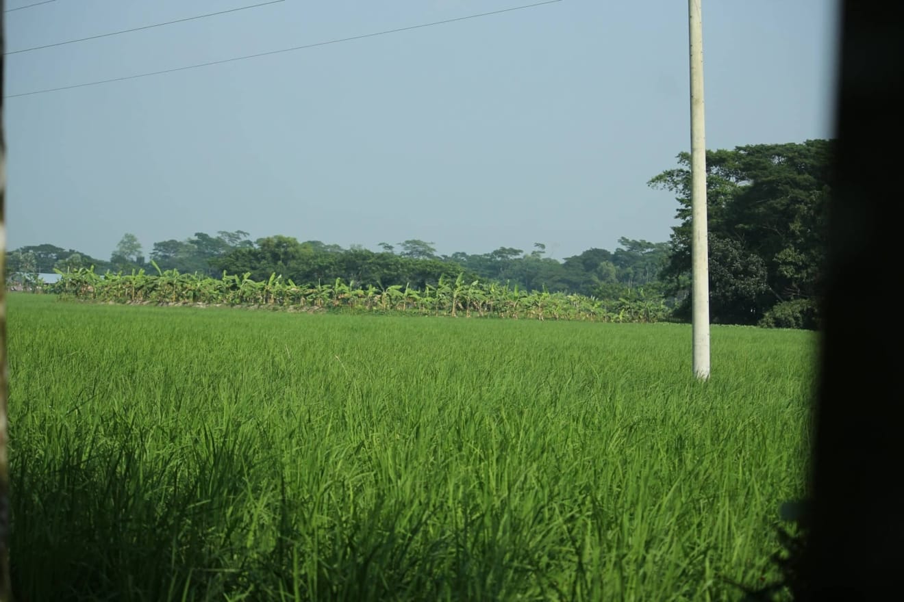 How Many Plots of Land Make an Acre? Understanding Land Sizes in ...